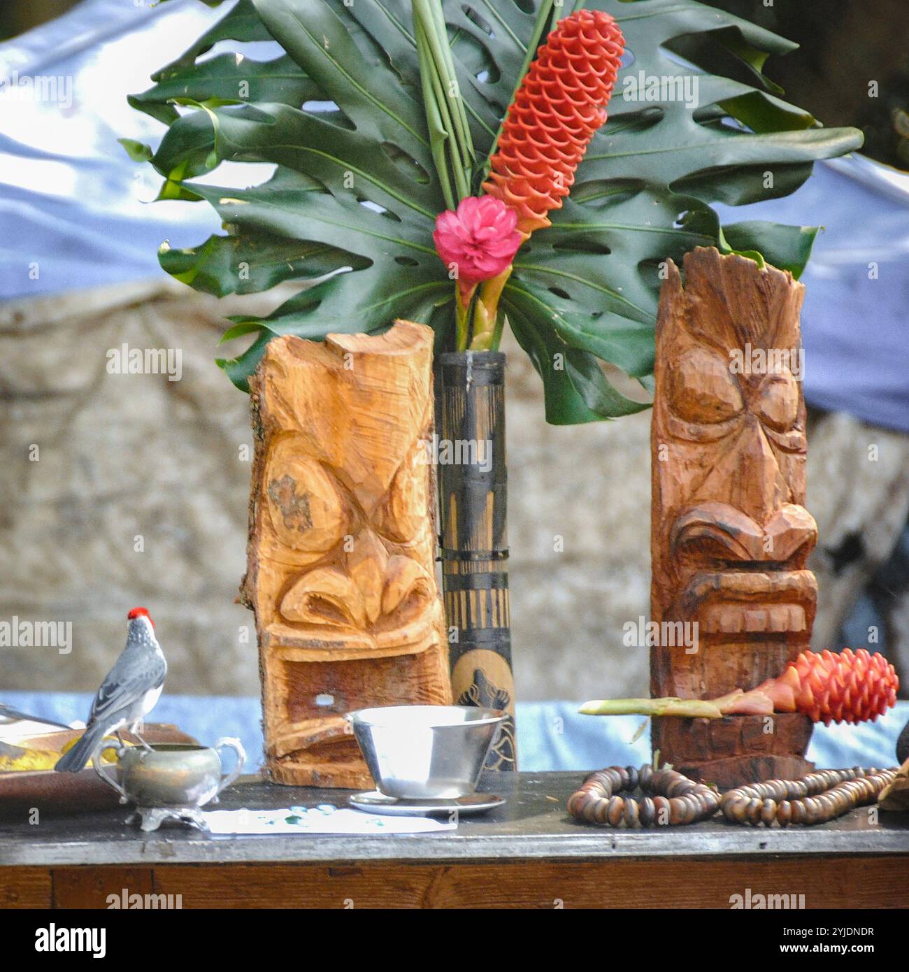 Aesthetic beauty typical hi-res stock photography and images - Alamy