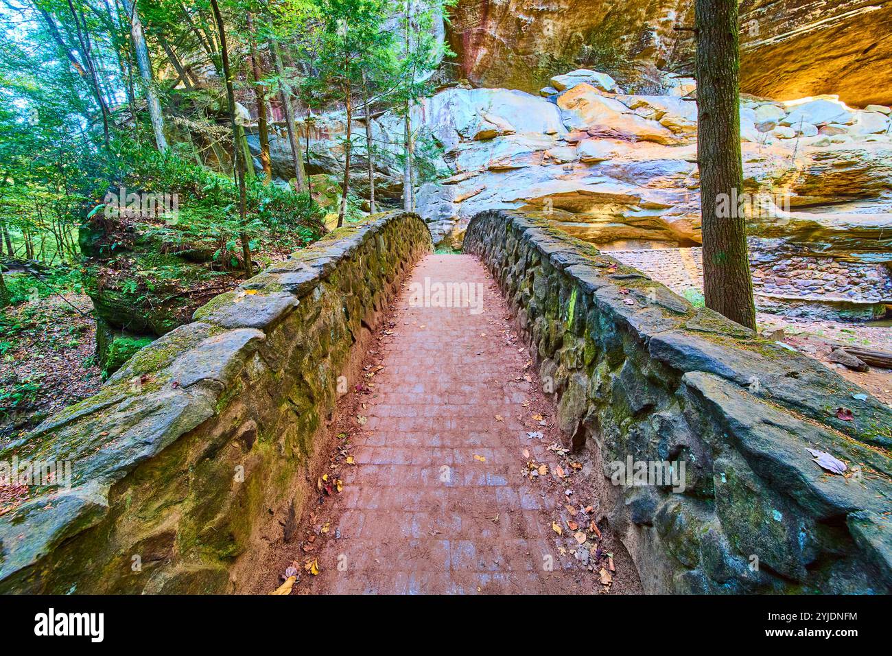 Rustic Stone Bridge in Forest Hocking Hills Ohio Eye-level Perspective ...