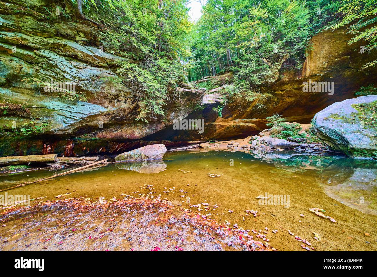 Autumn Reflection at Hocking Hills Pool Eye-Level Perspective Stock ...
