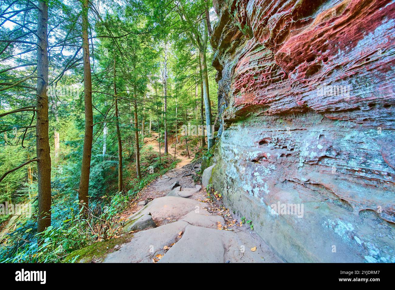 Sandstone Cliff and Forest Path in Hocking Hills Eye-Level View Stock ...