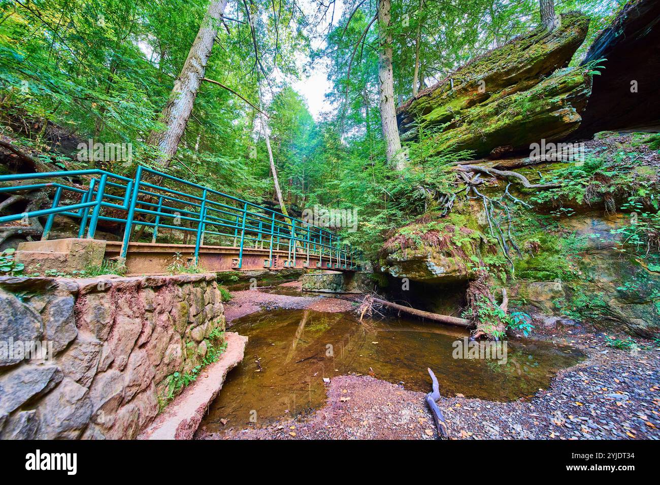 Hiking Bridge Over Stream in Hocking Hills Forest Walkway Perspective ...