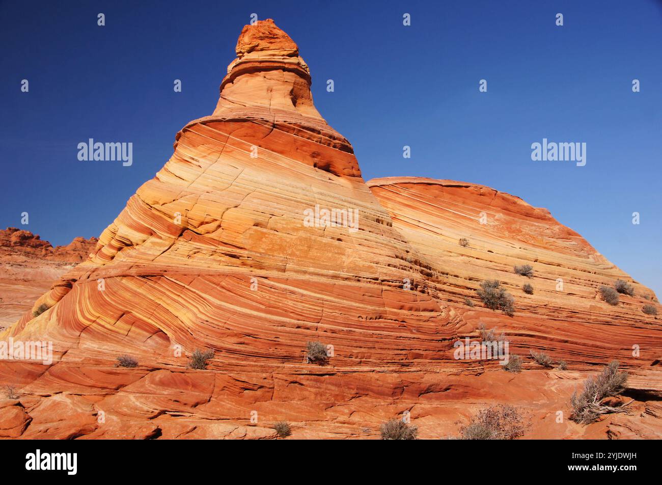 Vermilion Cliffs Wilderness Canyon Stock Photo - Alamy