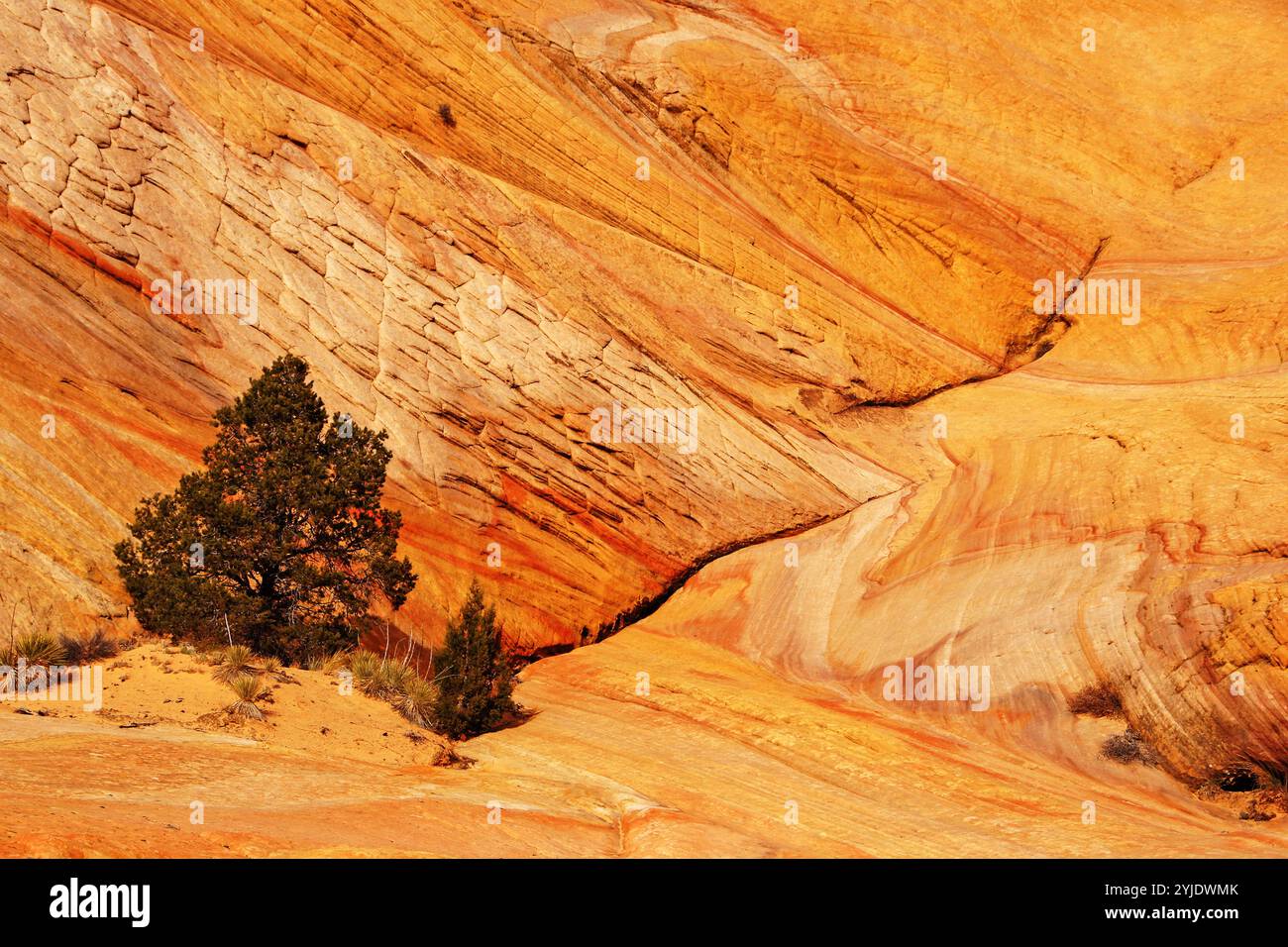 Grand Staircase Escalante NP Stock Photo - Alamy