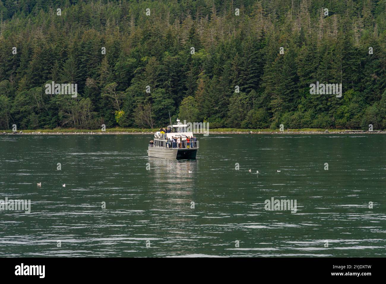 Juneau, Alaska, USA - September 22, 2024: A whale watching catamaran ...