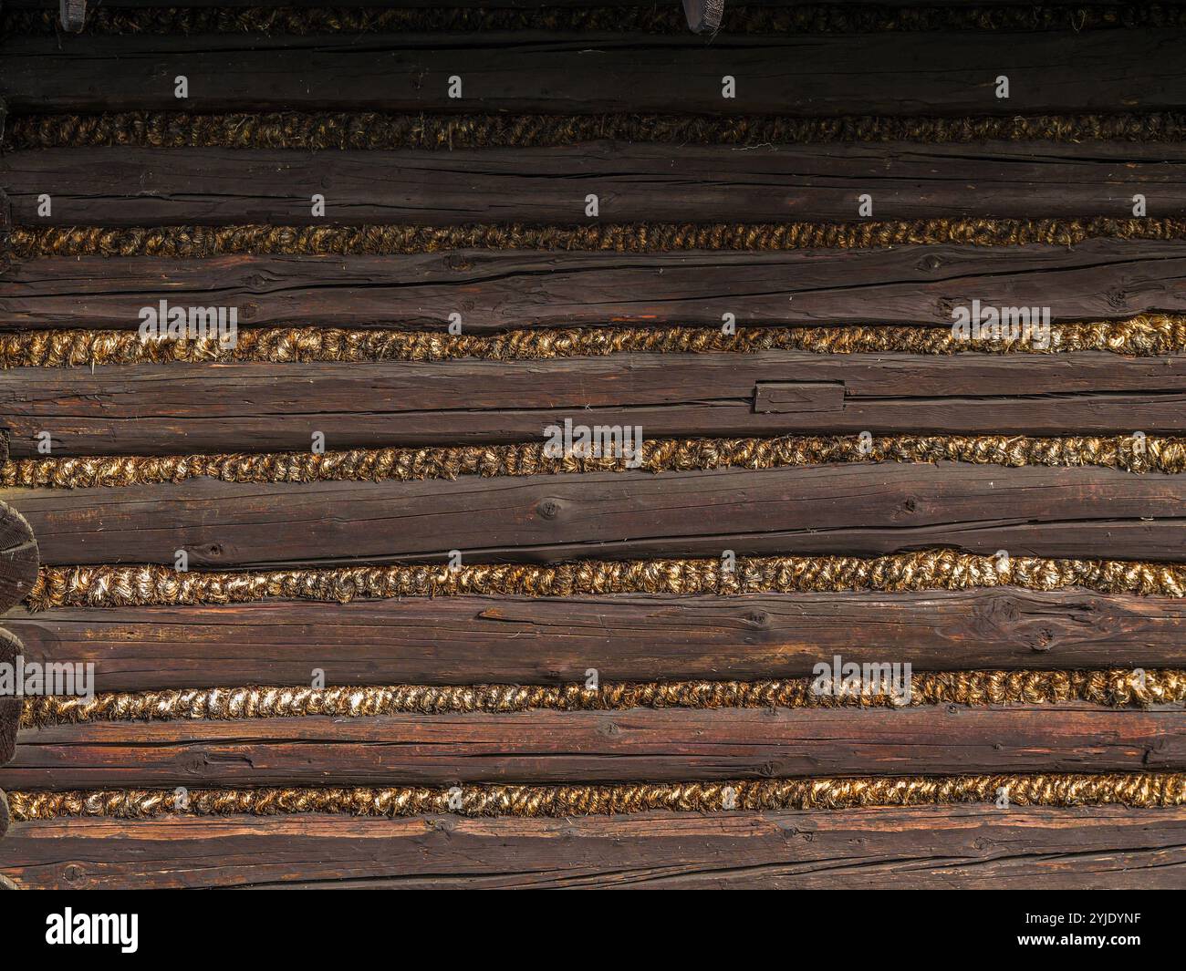 Intricate natural structure hi-res stock photography and images - Alamy