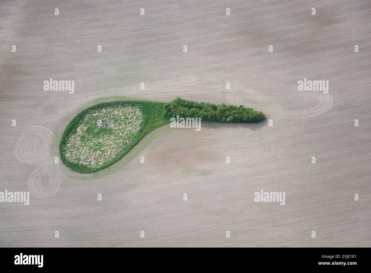 Aerial view of fields and meadows in Brandenburg, Germany, mid-May ...