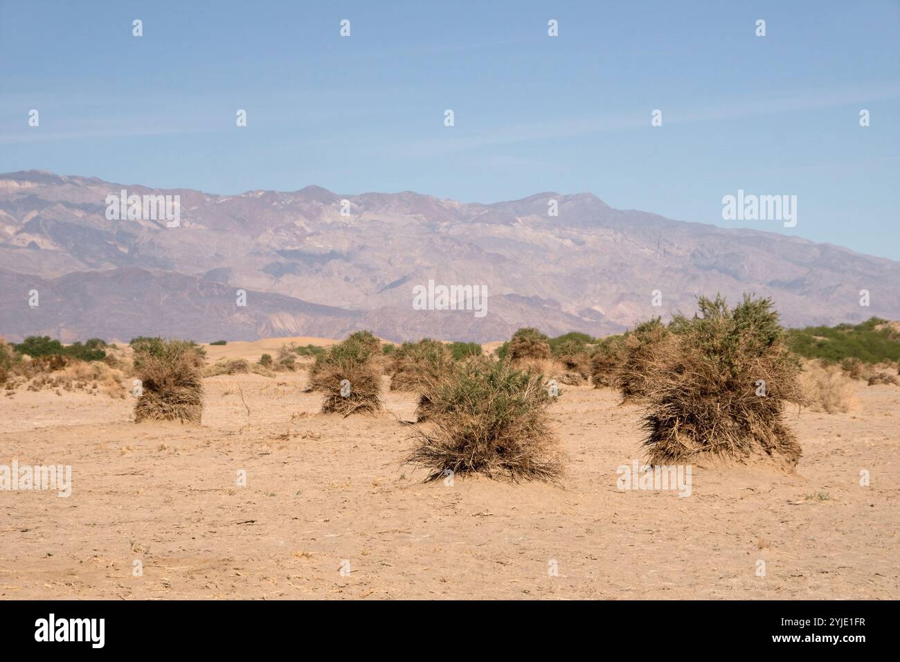 Titus Canyon Road is probably the most famous back country road in ...