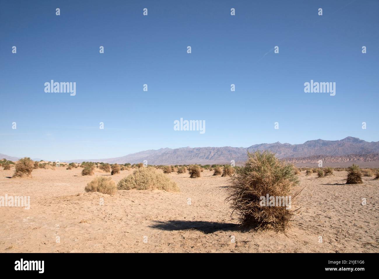 Titus Canyon Road is probably the most famous back country road in ...