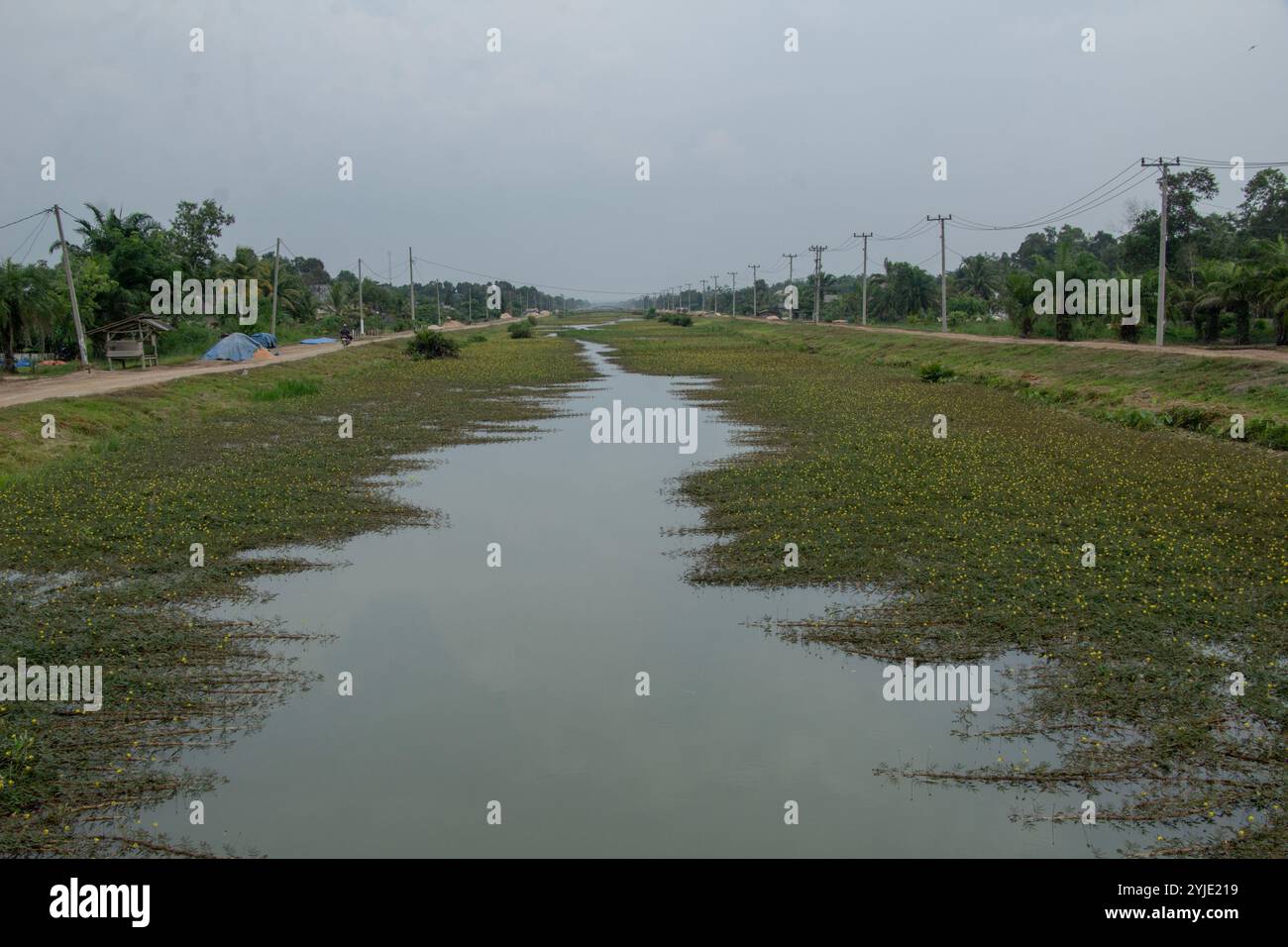 Straight river hi-res stock photography and images - Alamy