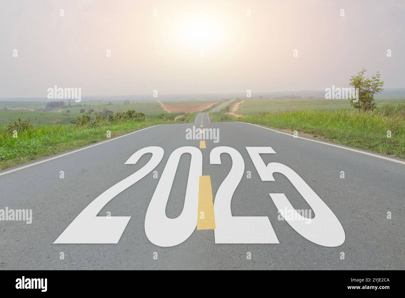 New year text 2025 written on asphalt road with view of young sugarcane ...