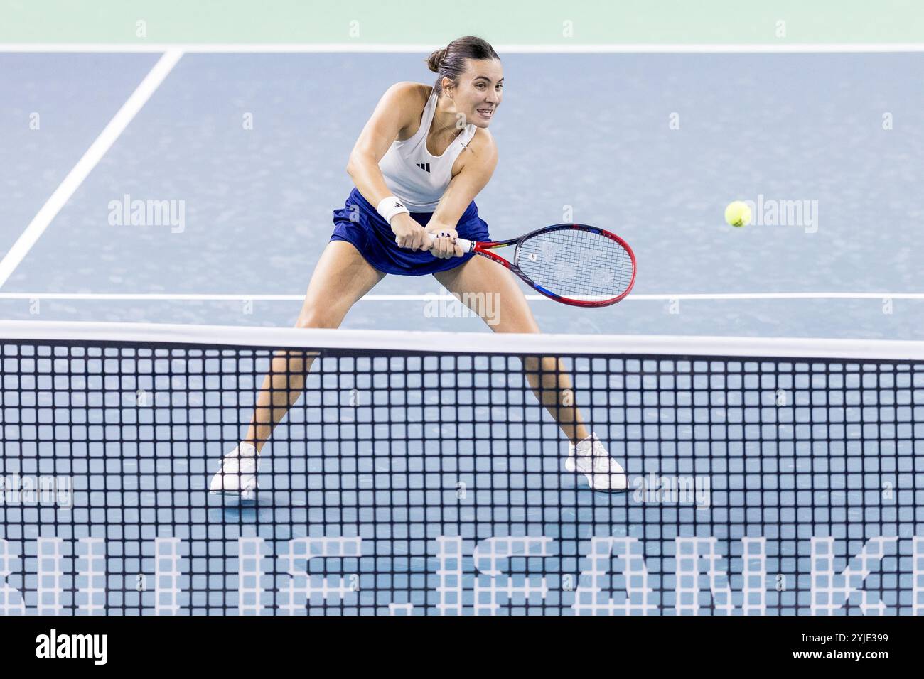 14th November 2024; Palacio de Deportes Jose Maria Martin Carpena Arena ...