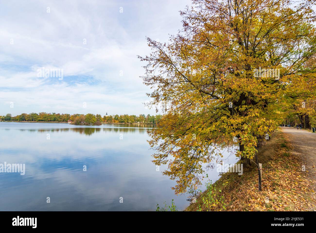 Fish pond spolsky rybnik for carp farming hi-res stock photography and ...