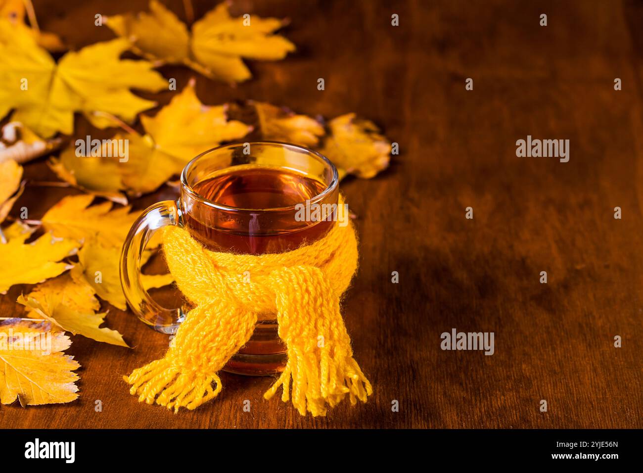 Hot tea autumn leaves hi-res stock photography and images - Alamy