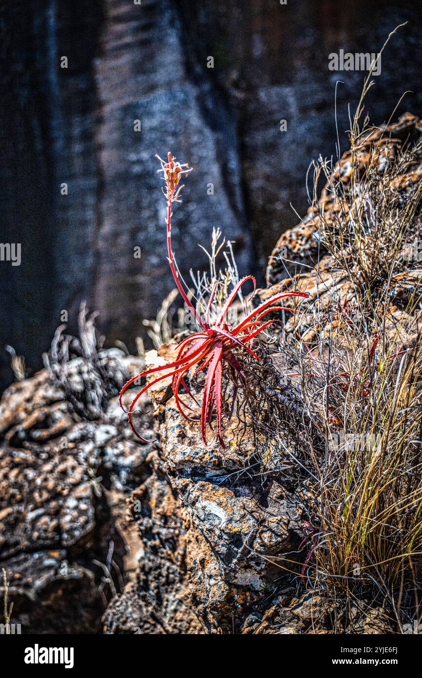 Rugged rocky terrain hi-res stock photography and images - Alamy