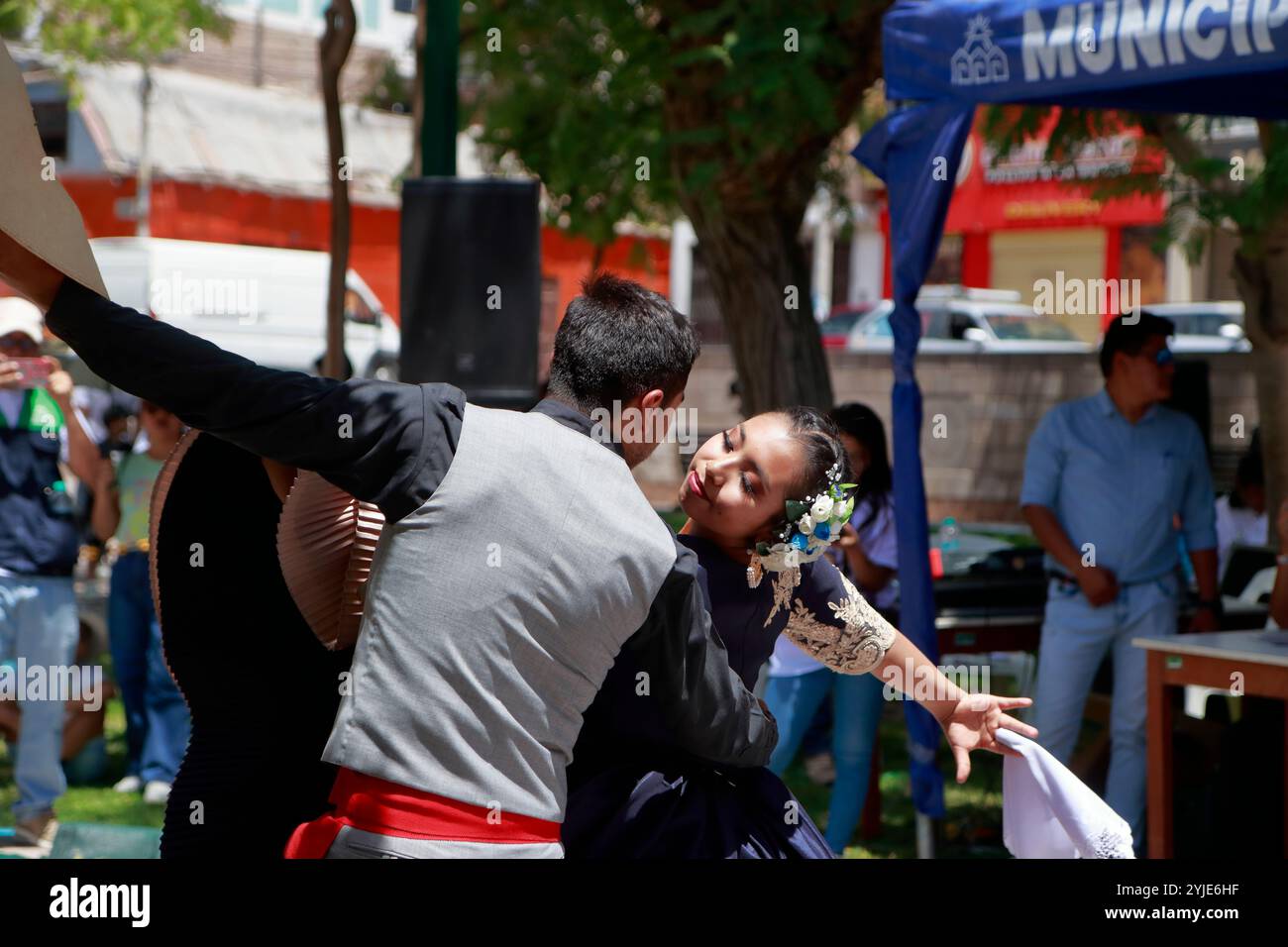 Dog costume contest in Moquegua, Peru, on November 9, 2024, featuring ...