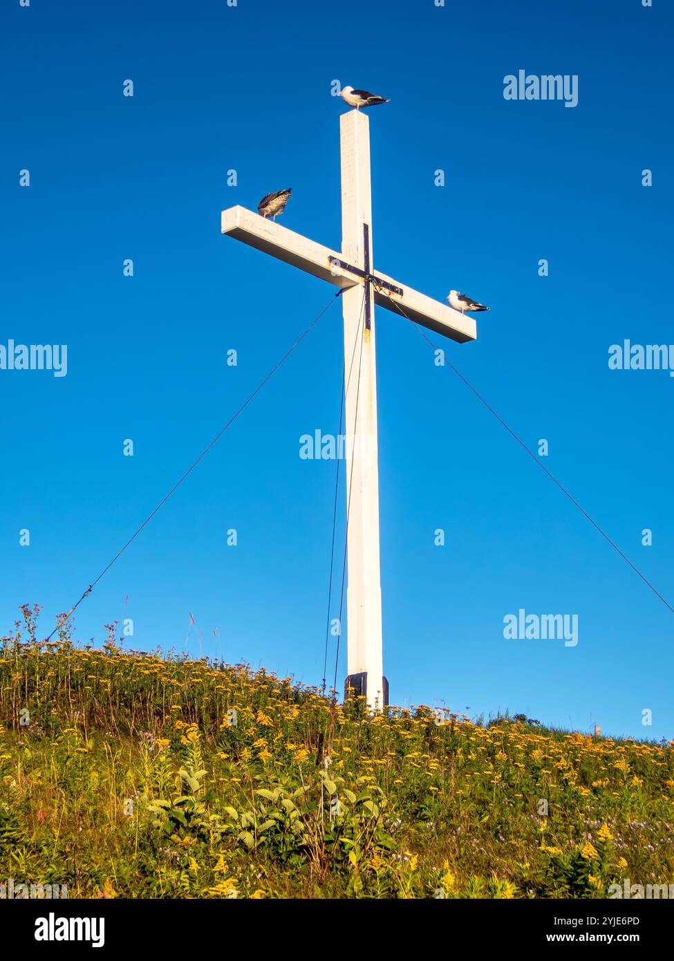 Roadside wooden cross crucifix hi-res stock photography and images - Alamy