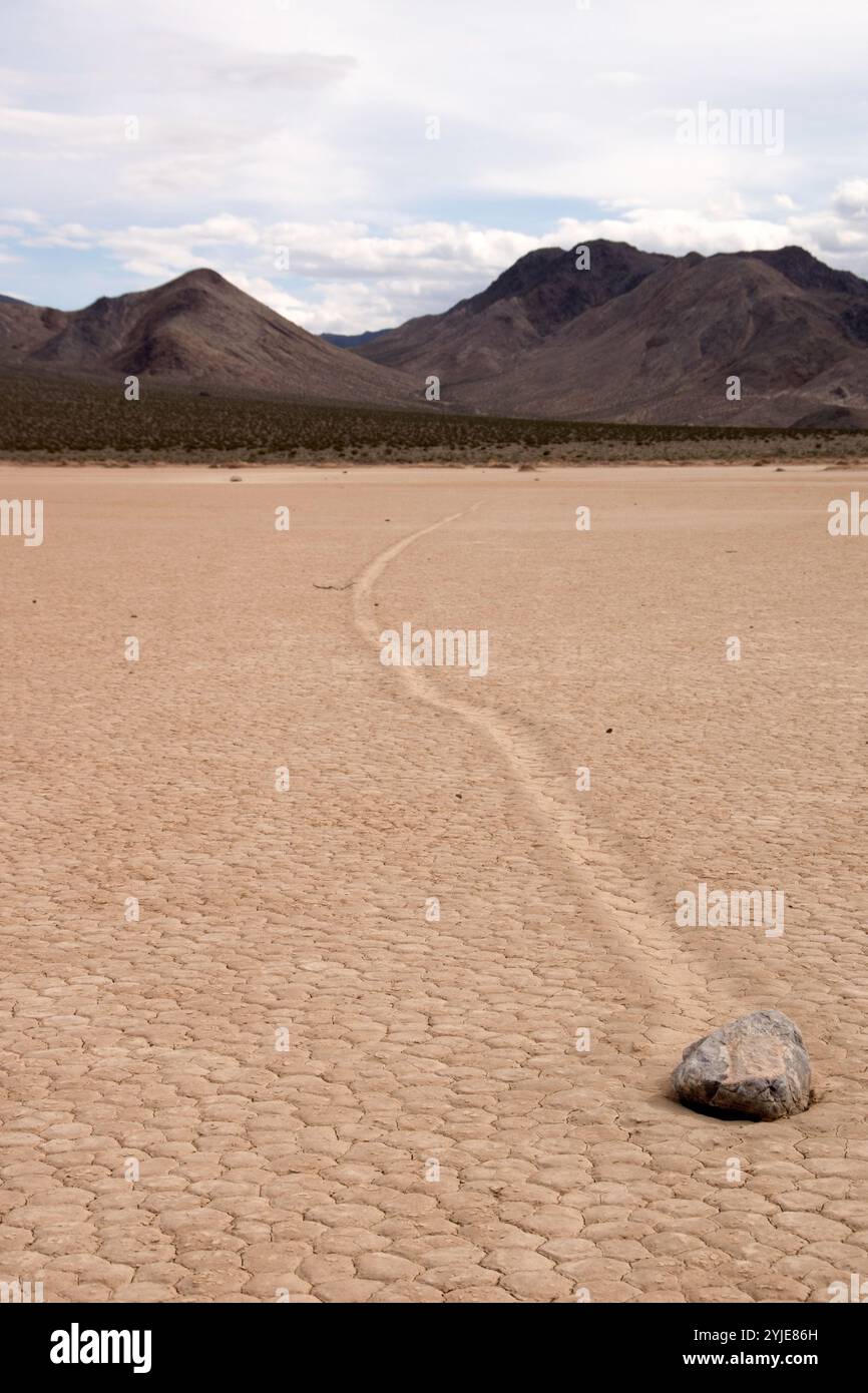 The wandering rocks of Racetrack Playa leave traces of movement across ...