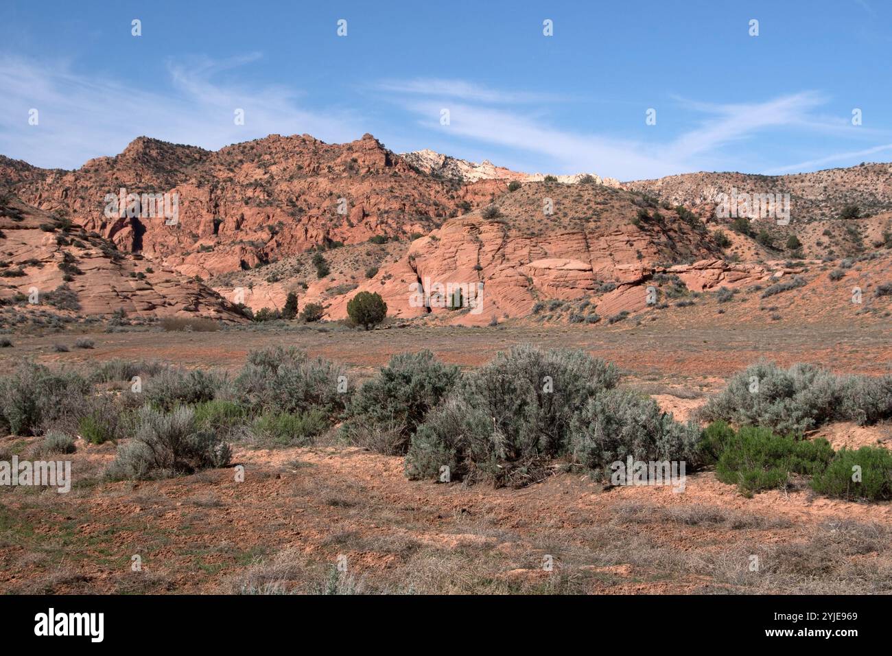 "Edmaier's Secret are fields of so-called Brainrocks; they are located ...