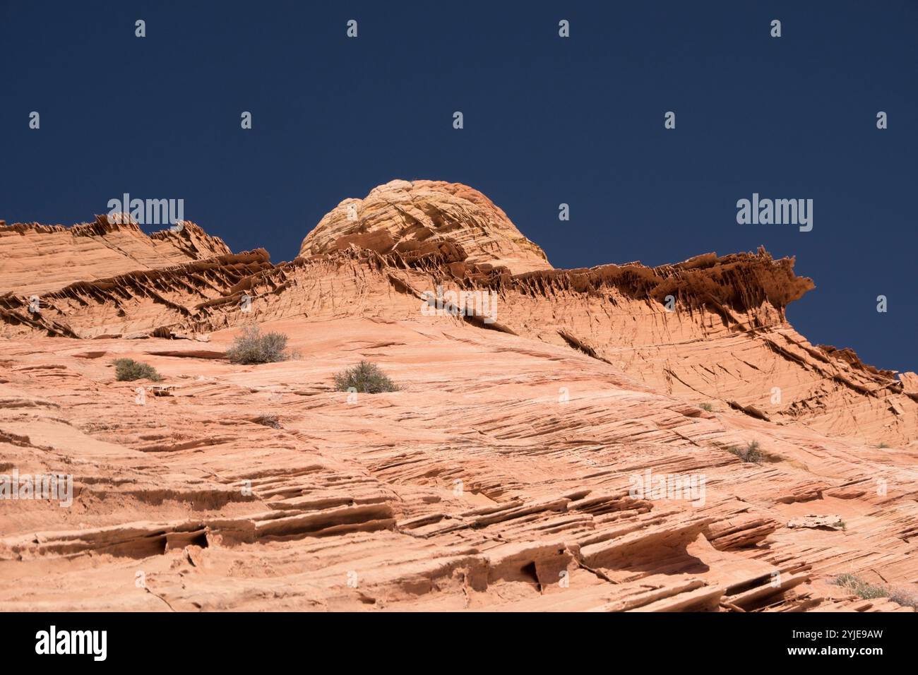 "Edmaier's Secret are fields of so-called Brainrocks; they are located ...