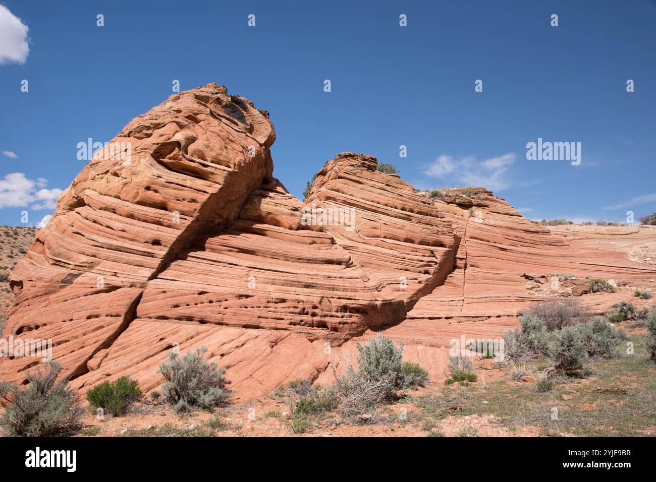 "Edmaier's Secret are fields of so-called Brainrocks; they are located ...