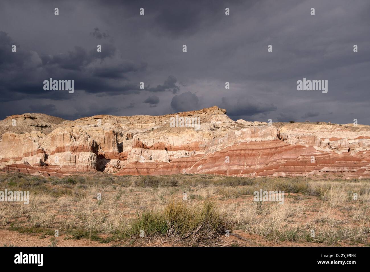 "Edmaier's Secret are fields of so-called Brainrocks; they are located ...