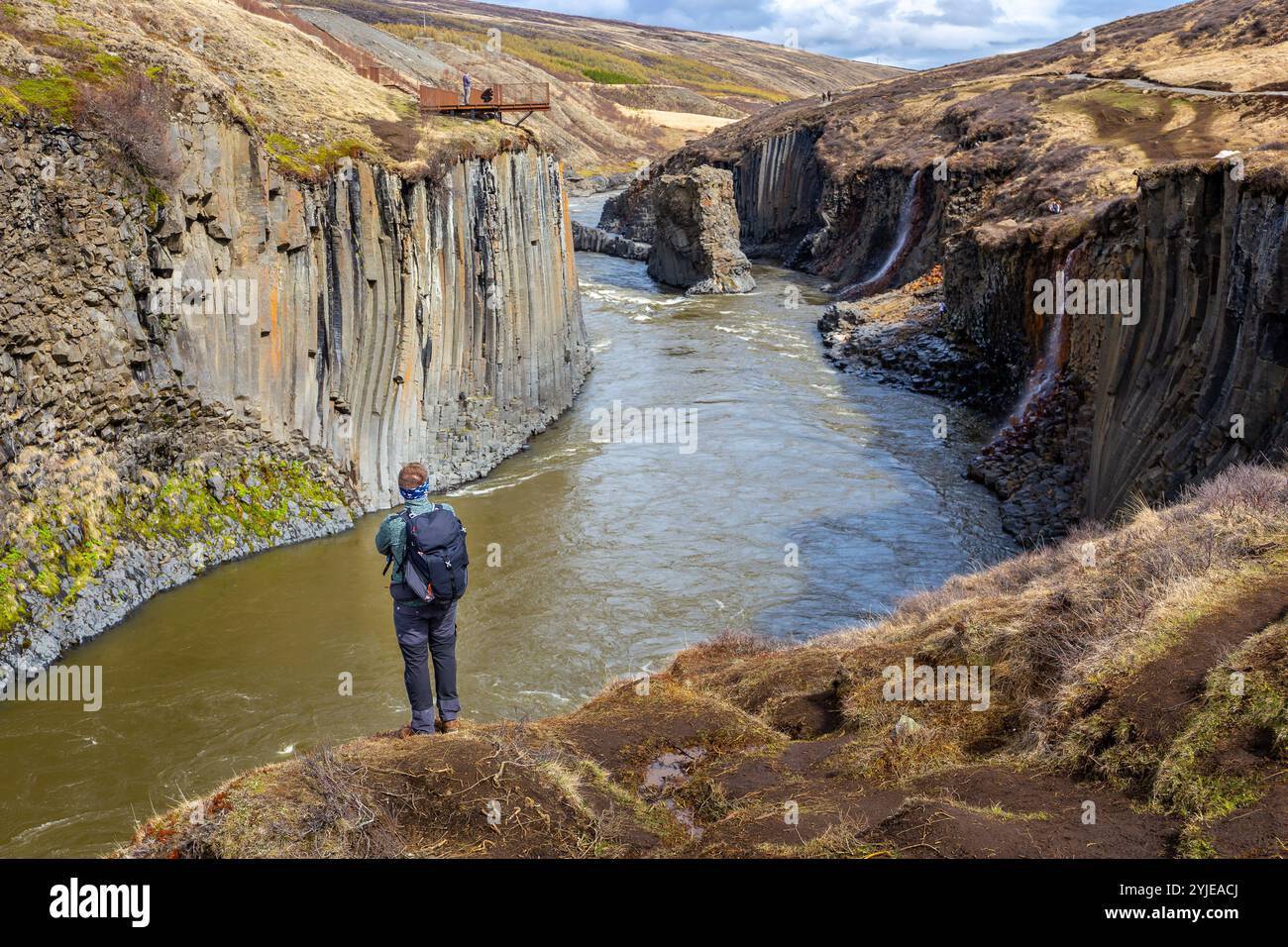 Studlagil Canyon (The Basalt Canyon) view of the ravine with brown ...