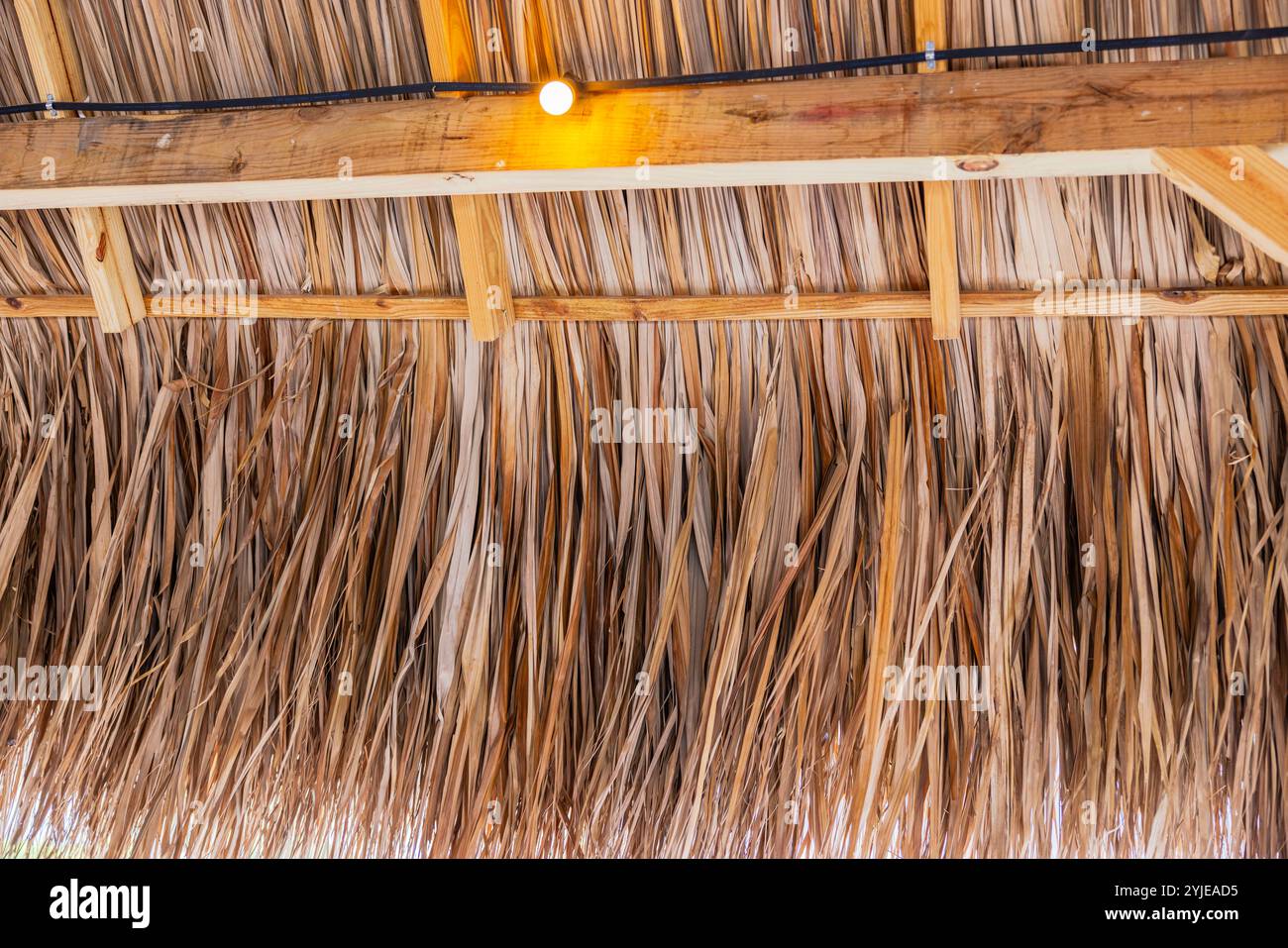 Close-up of thatched palm roof structure in open-air restaurant on ...