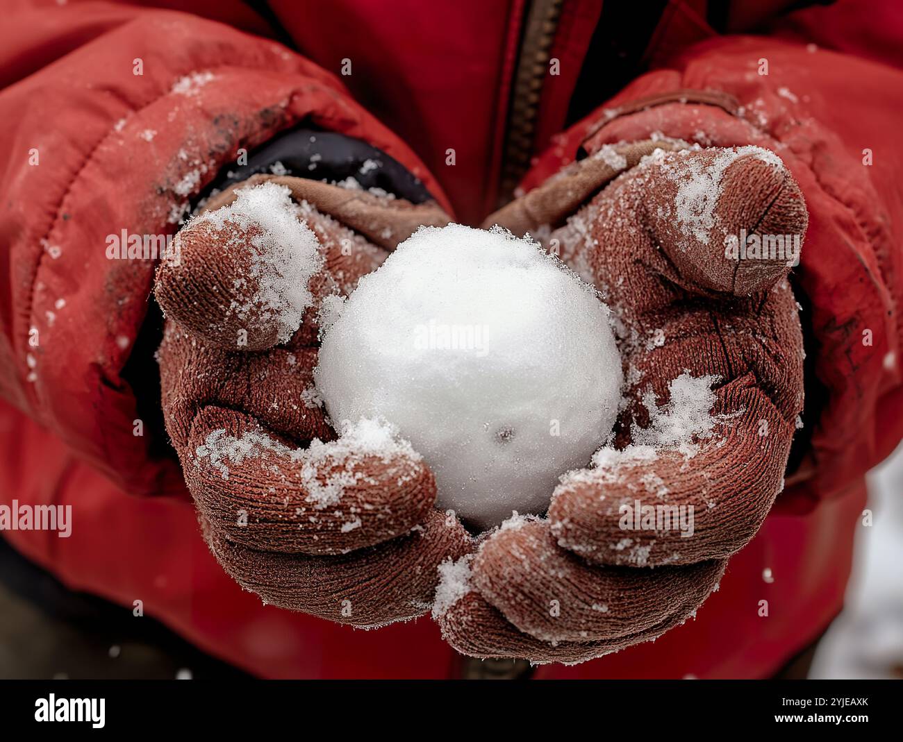 Hands winter gloves holding snowball hi-res stock photography and ...