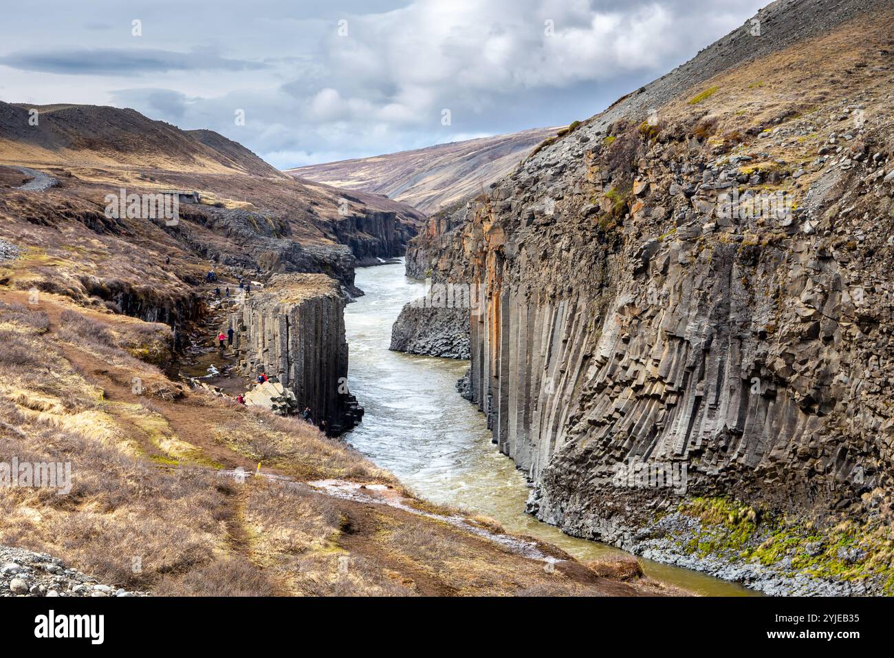 Studlagil Canyon (The Basalt Canyon) view of the ravine with brown glacial river and vertical ...