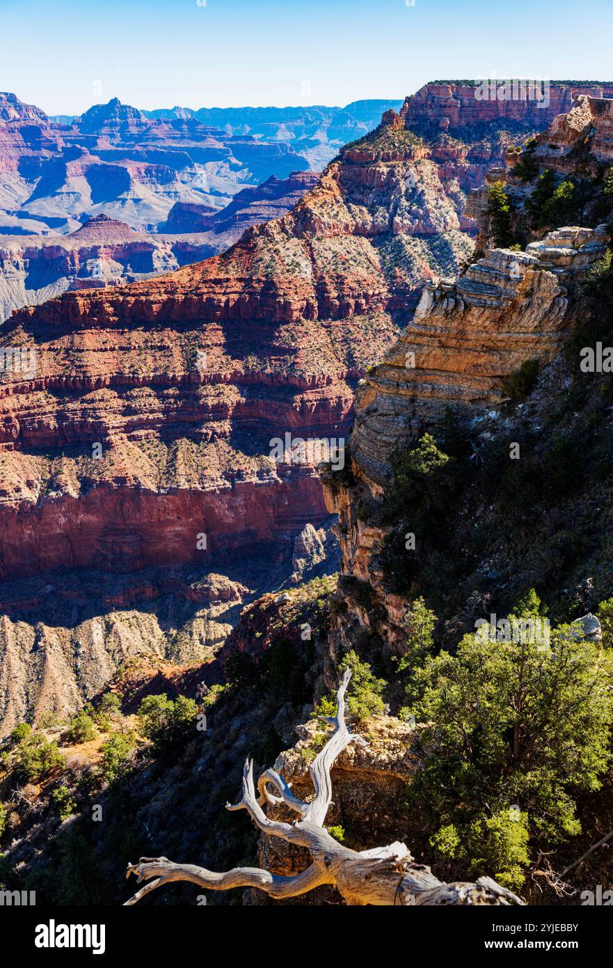 Stunning overhead view grand canyon hi-res stock photography and images ...