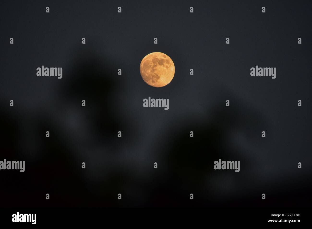 The super moon also known as the Beaver moon rises in Srinagar, the ...