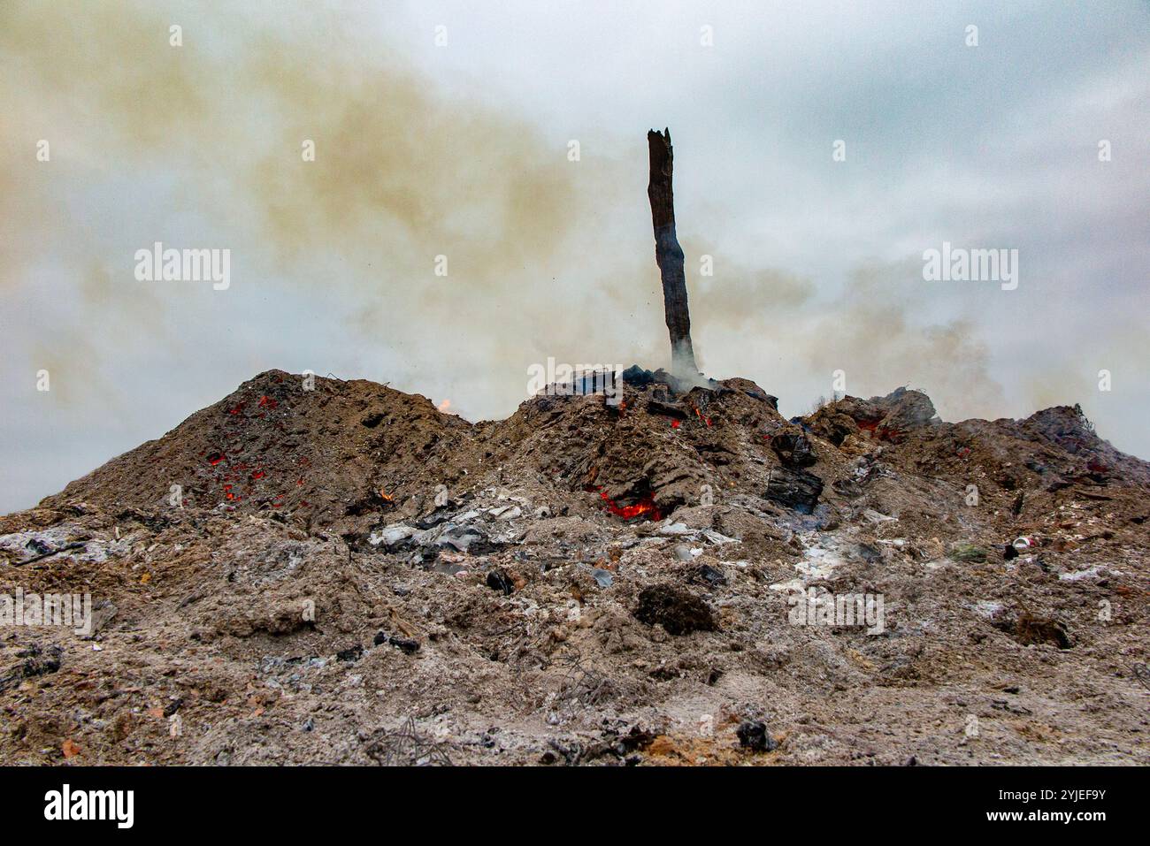 The remains of a huge fire and what looks like a dead, burnt tree ...