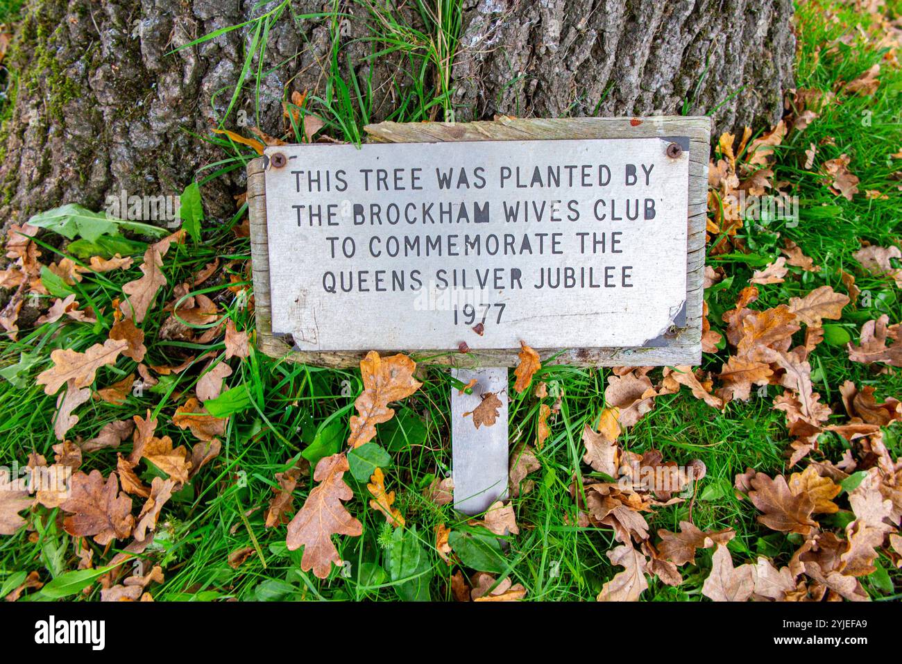 Brockham surrey hi-res stock photography and images - Alamy