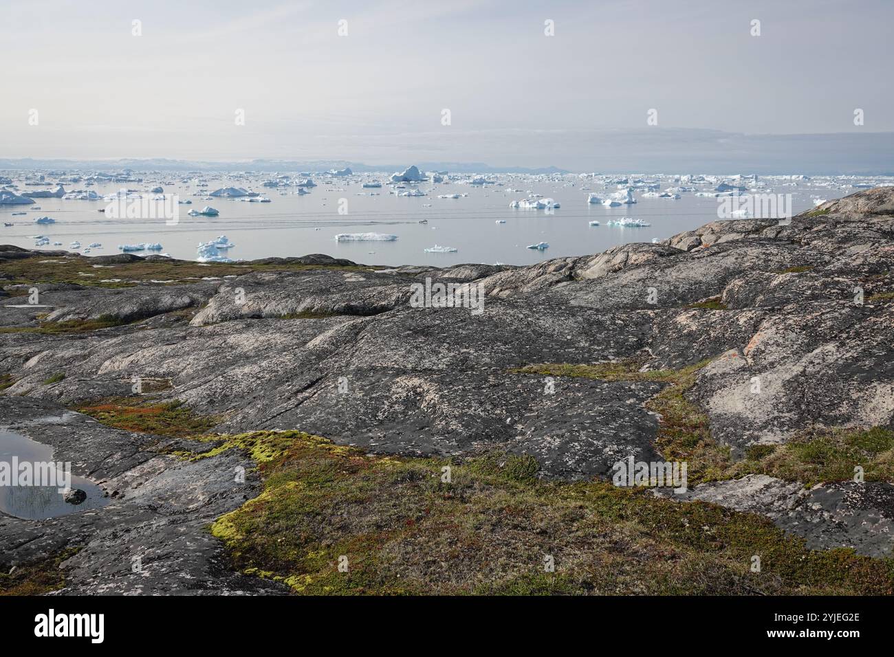 Arctic ocean covered with ice chunks Stock Photo - Alamy