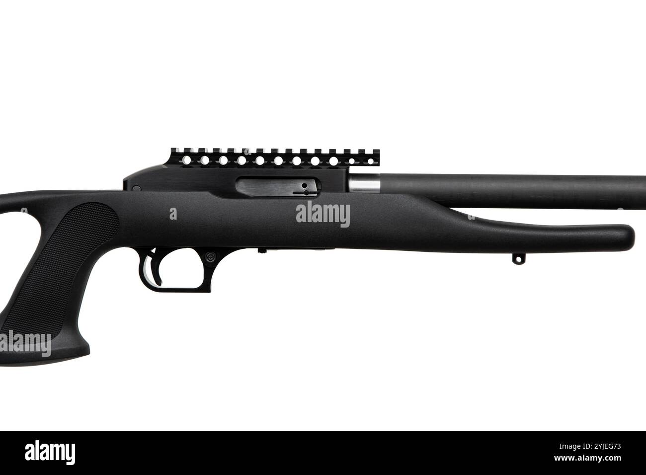 Modern semi-automatic small-caliber .22lr rifle. Sports carabiner .22lr ...