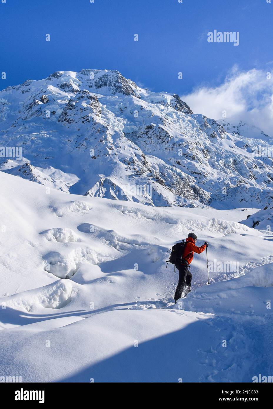 Climbing on The Tasman Glacier, Mount Cook National Park, New Zealand ...