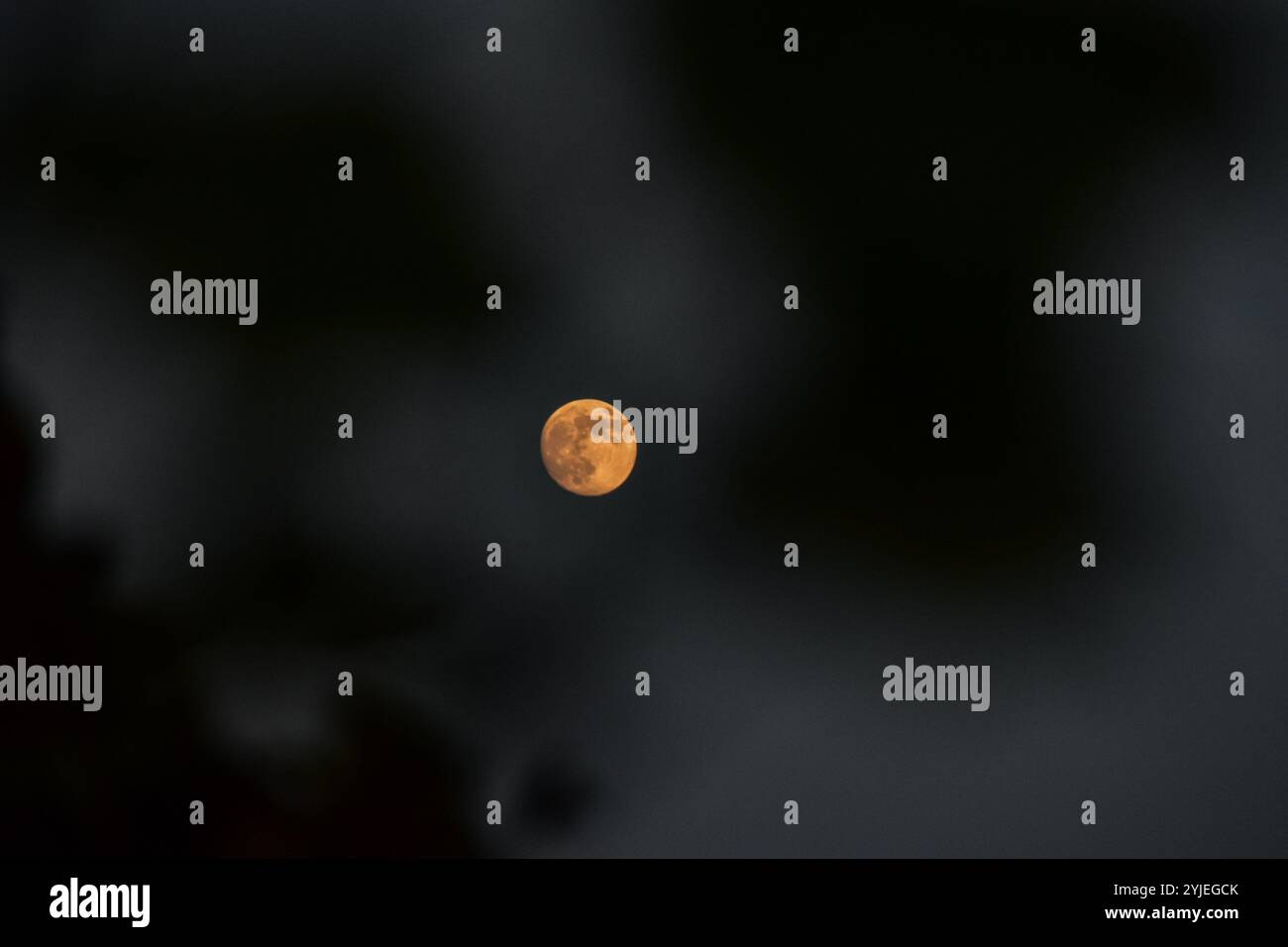 Srinagar, India. 15th Nov, 2024. The super moon also known as the ...