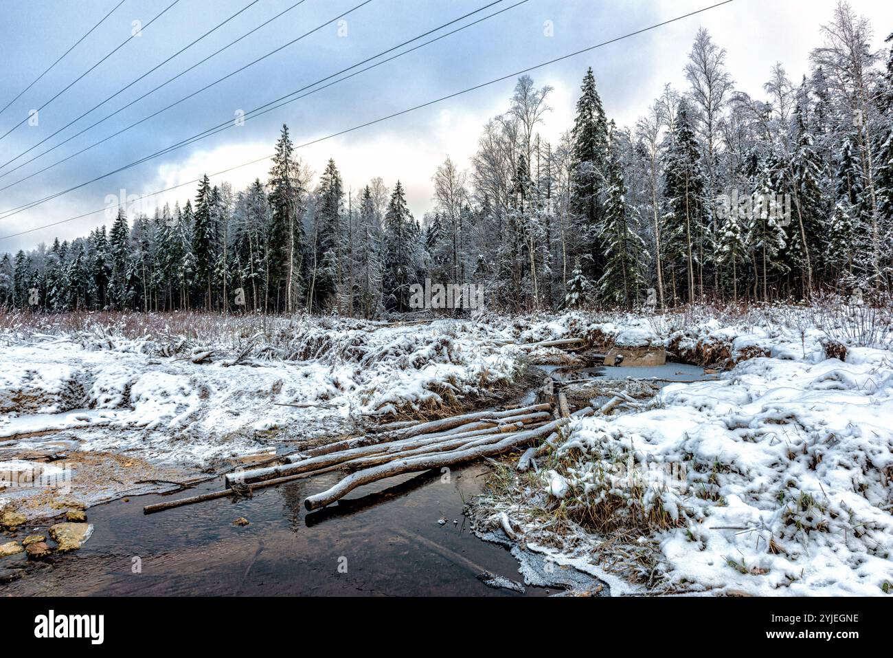 The stream crosses the winter ground road on the edge of the forest ...