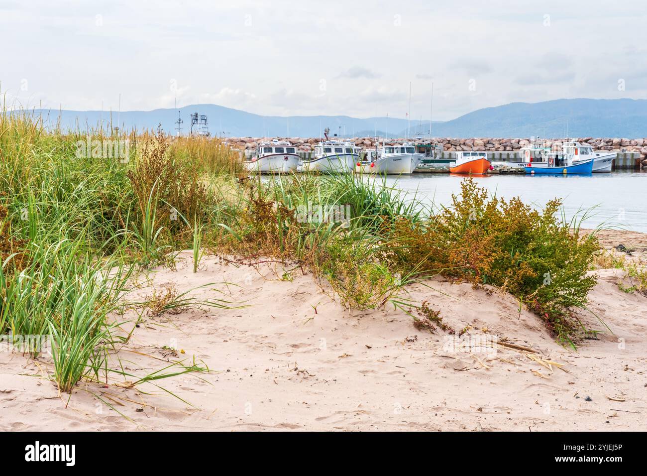 Small sandy beach at North Bay Ingonish with native grasses and fishing ...