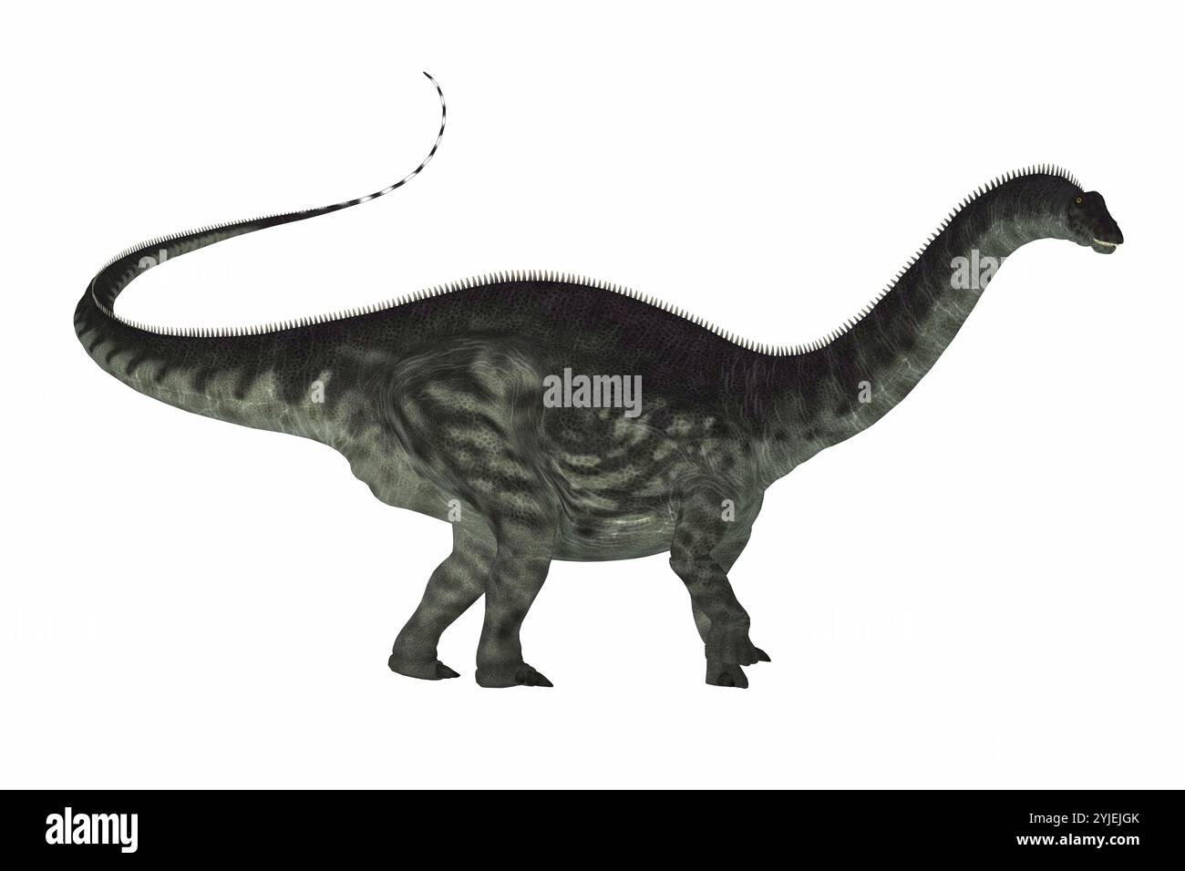 Dinosaur limb bones Cut Out Stock Images & Pictures - Alamy