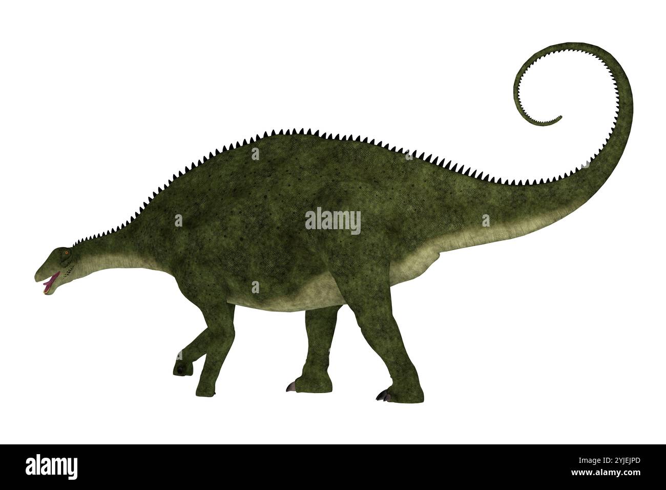 Brachytrachelopan was a sauropod herbivorous dinosaur that lived in ...