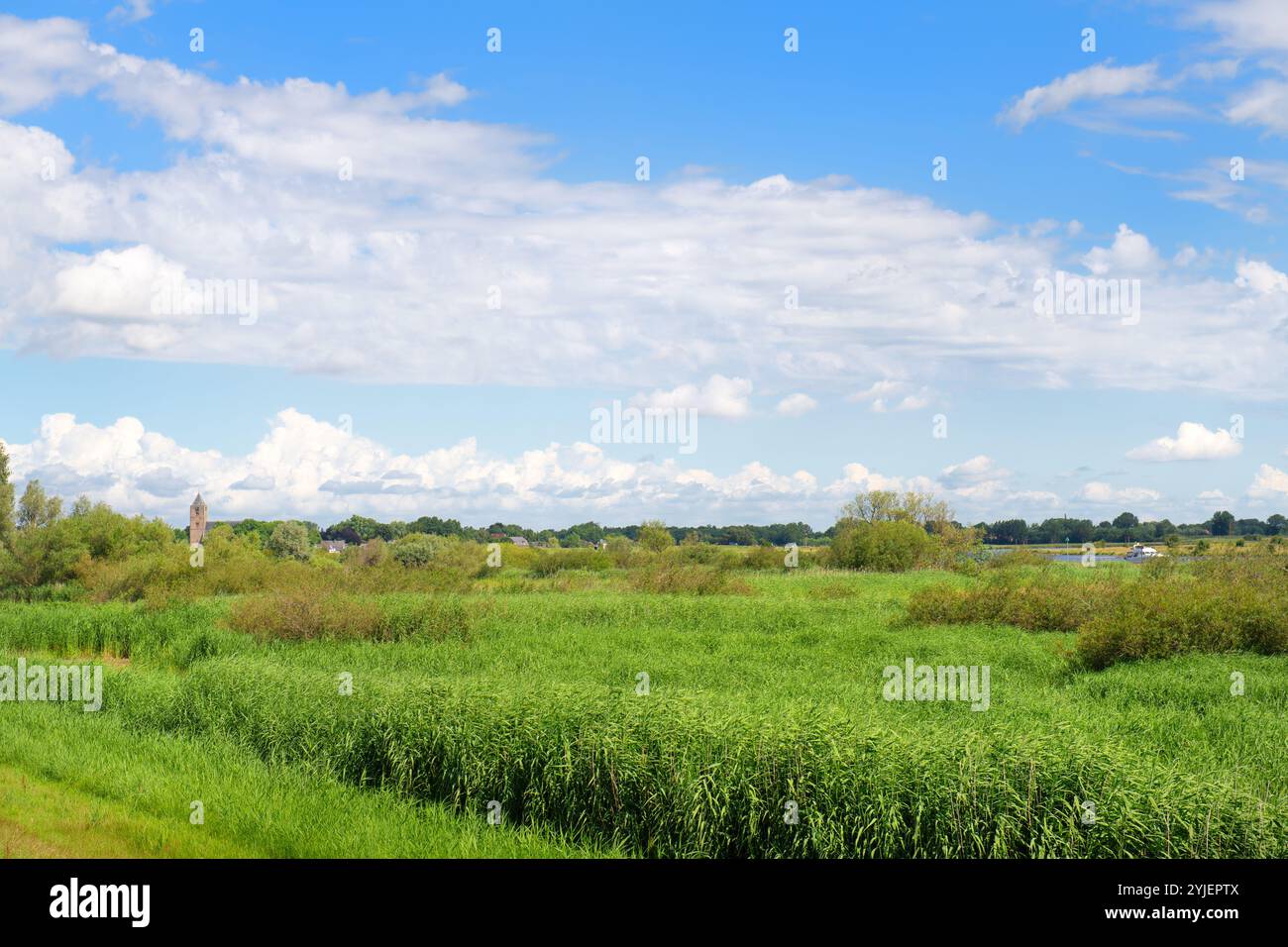 Landscape village Zalk at river the IJssel in Holland Stock Photo - Alamy