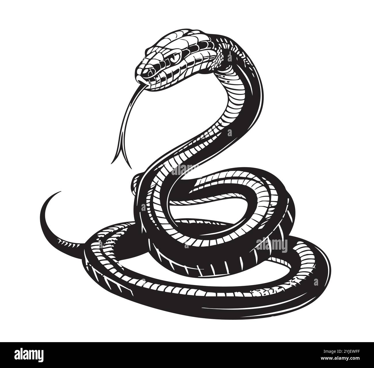 Hand drawn vintage snake illustration. Graphic sketch for posters Stock ...