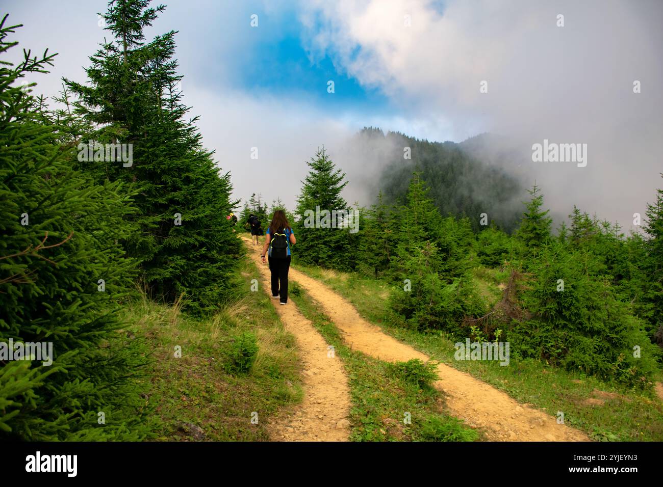 Group of experienced hikers hiking in beautiful mountains in Kackarlar ...