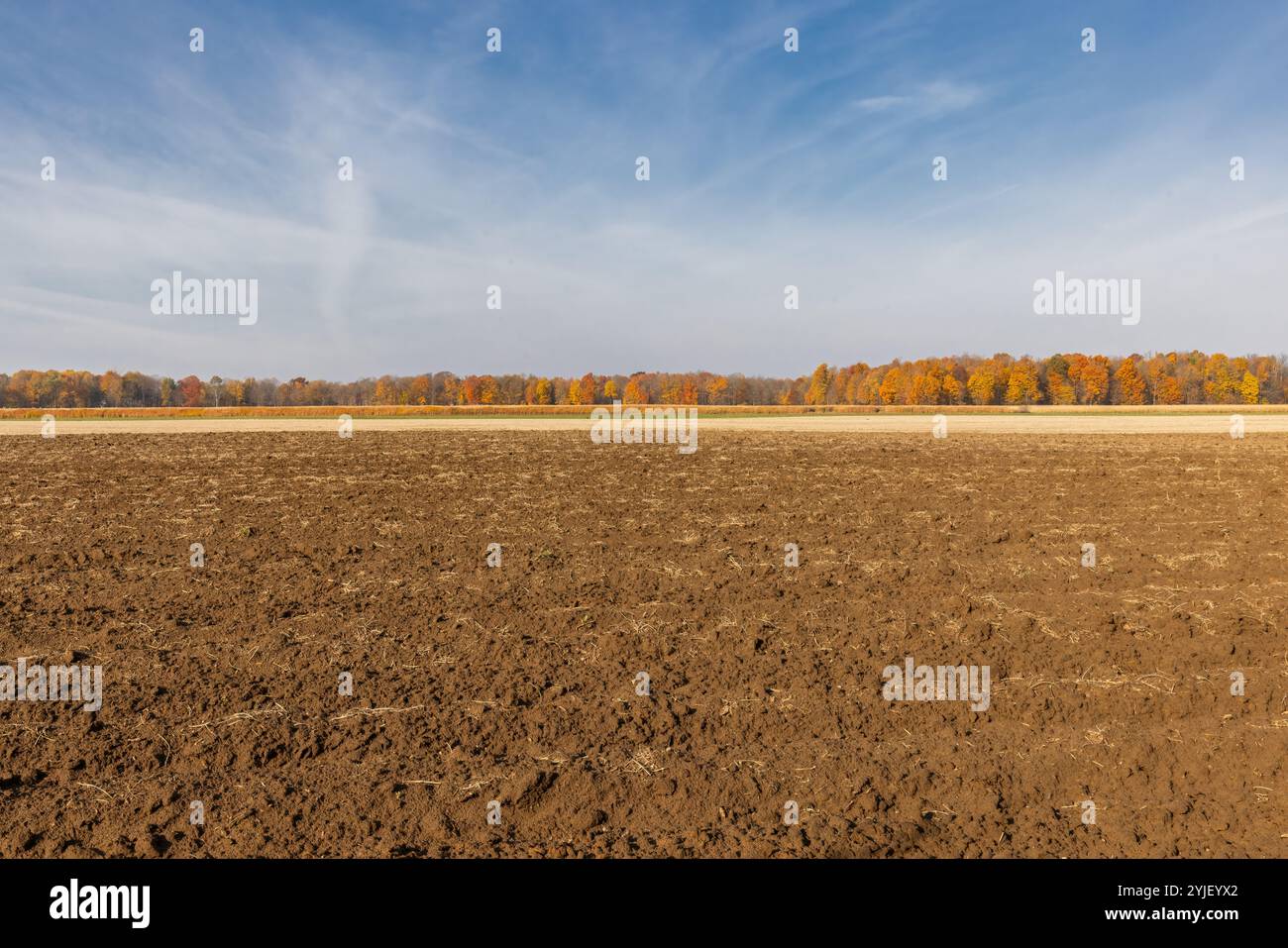 Colourful farm in ontario hi-res stock photography and images - Alamy