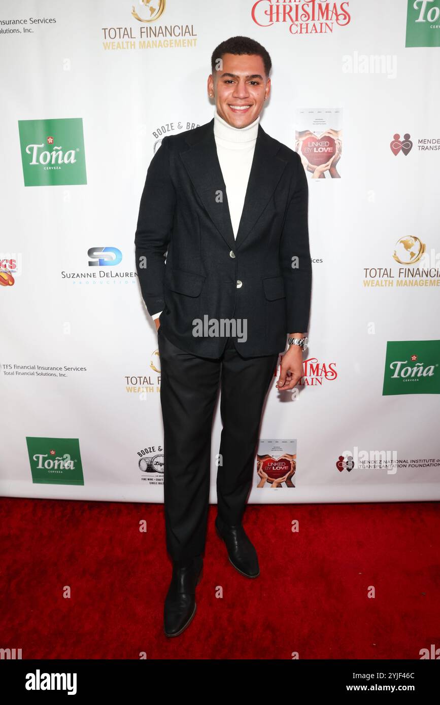 Beverly Hills, California, USA. 13th November, 2024. Actor Tyler ...