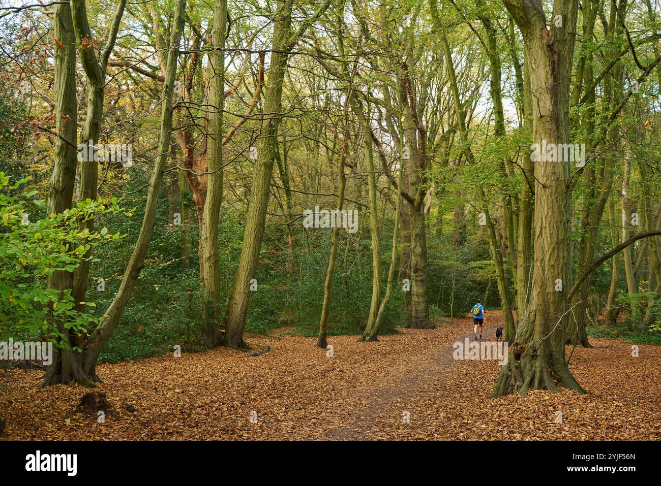 Highgate heritage hi-res stock photography and images - Alamy