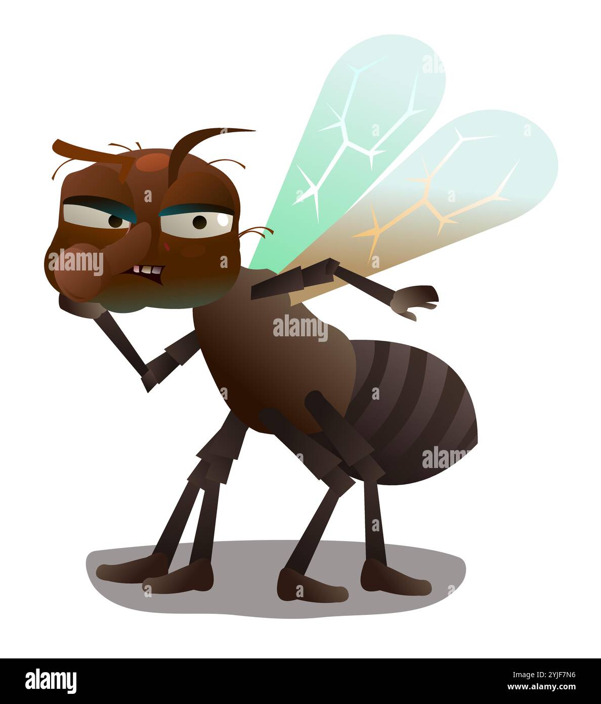 Angry fly. Dirty insect. Animal parasite. Object isolated on white ...