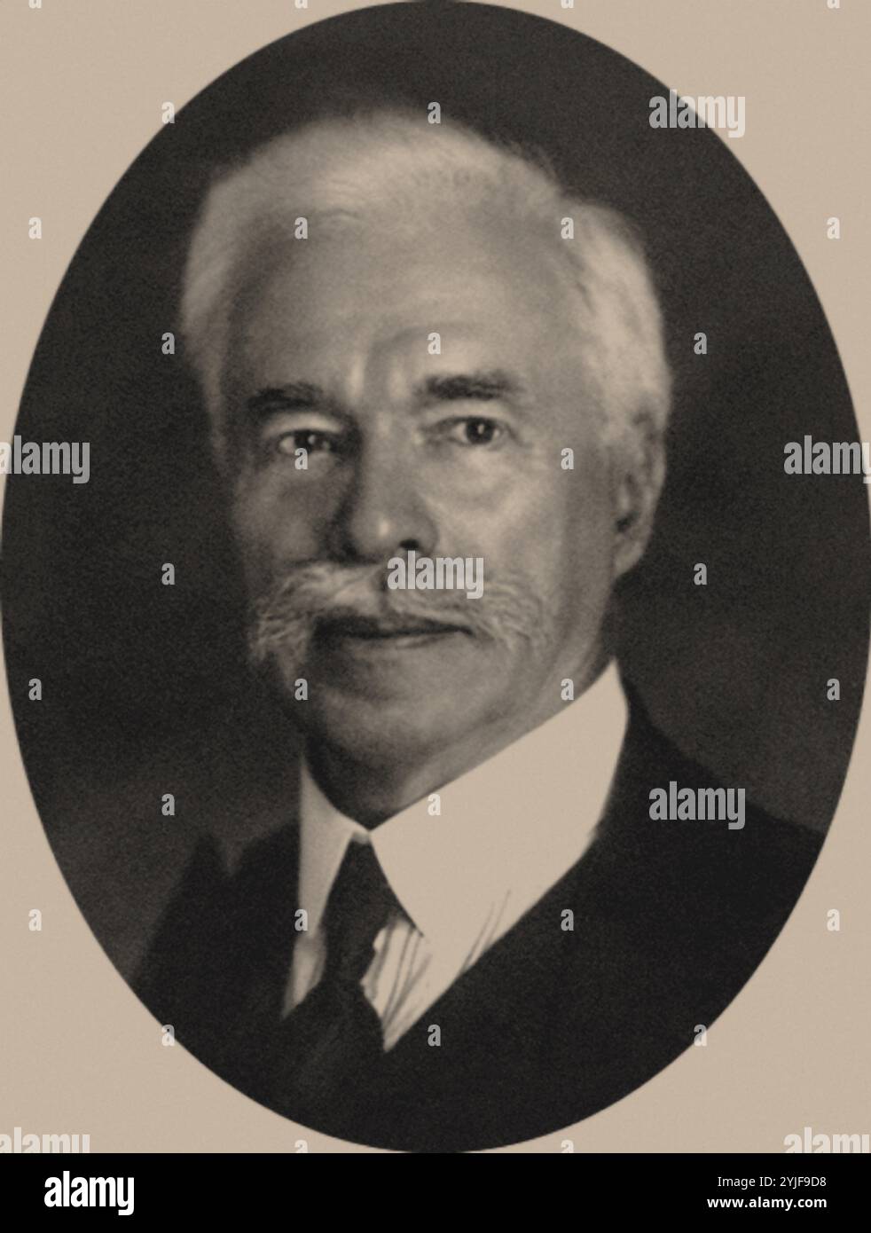 Portrait of the collector Sergei Ivanovich Shchukin (1854-1936). Museum ...