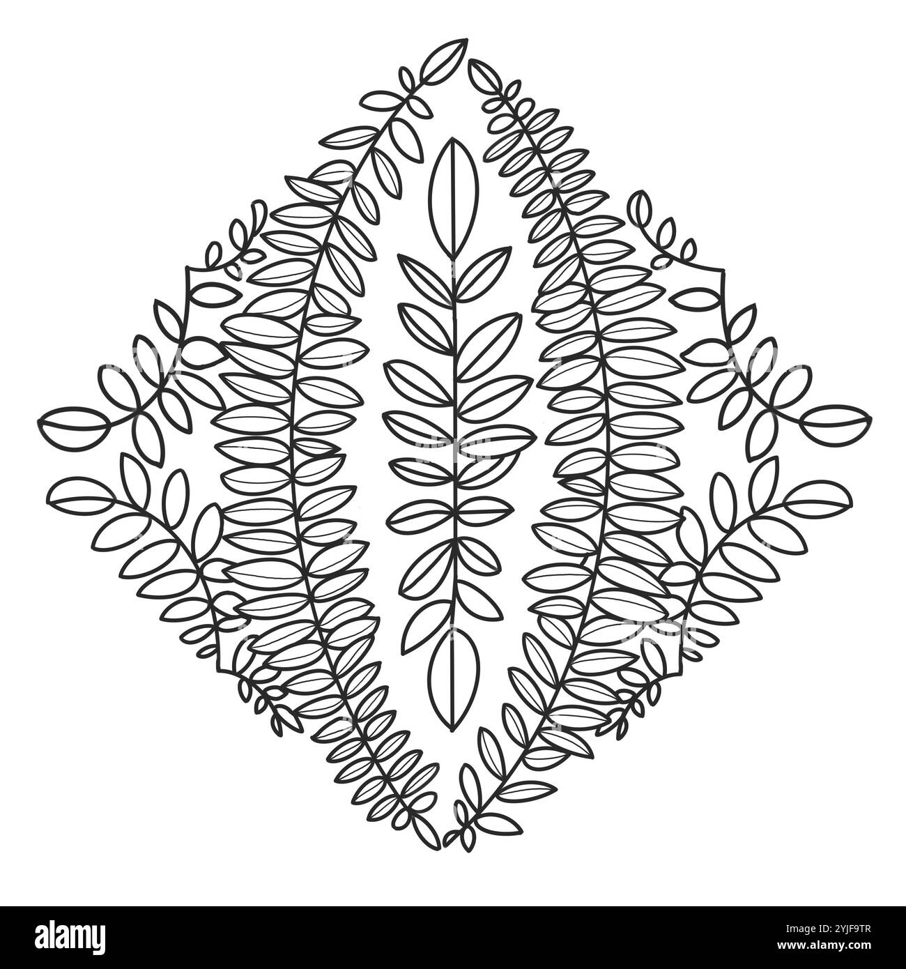 Spring leaf illustration vector Black and White Stock Photos & Images ...